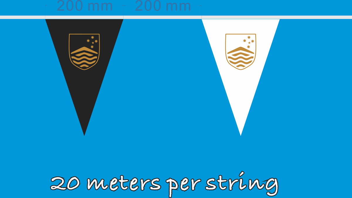 Elevate Graduation Celebrations with Custom Bunting Flags ...
